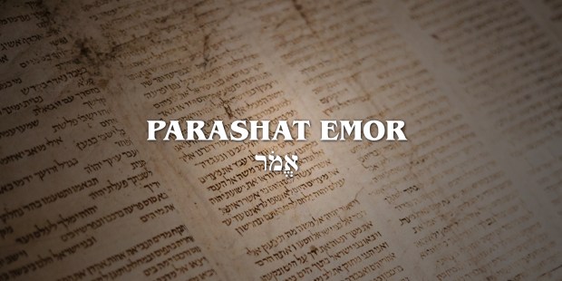 Parashat Emor אֱמֹר – Beneytzion – בני ציון